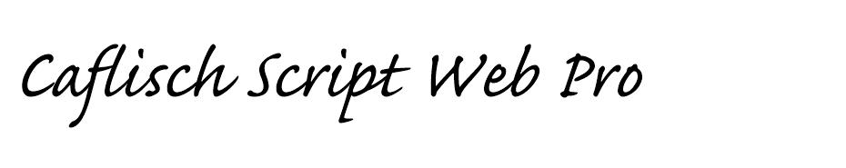 Caflisch Script Web Pro font - Caflisch Script Web Pro font download