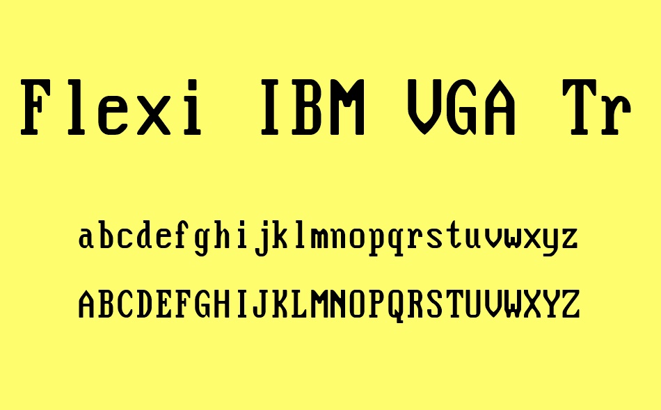 Flexi IBM VGA True font - Font Tr