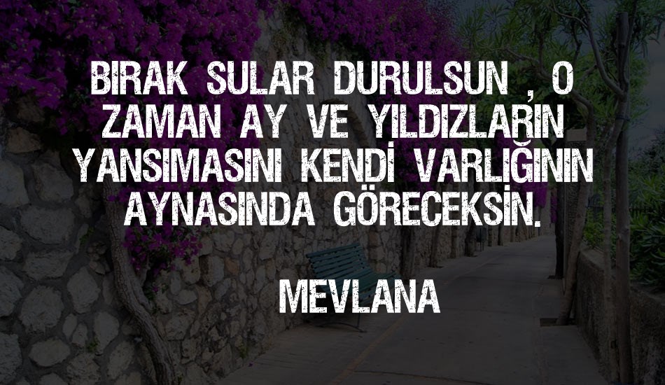 VIPER NORA font - Font Tr